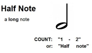 The half note (minim)