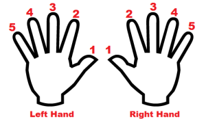 How to Play C Major Scale on Piano & Keyboard – Piano-Keyboard-Guide.com